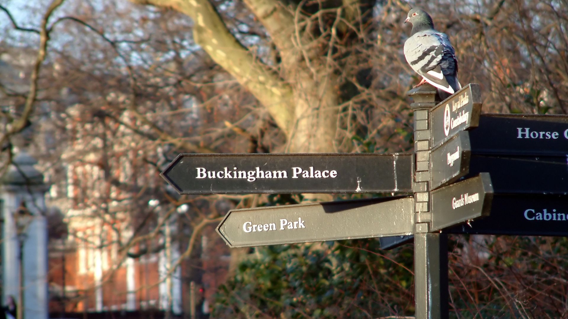 Buckingham Palace London | Learn How To Get There